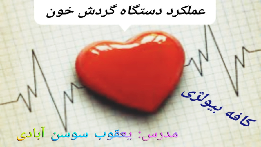 عملکرد دستگاه گردش خون
