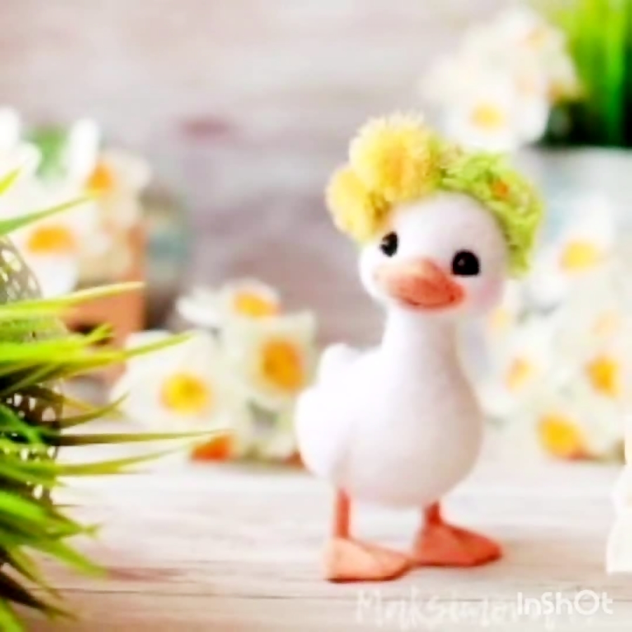 سلام من ویدیو جدید گذاشتم