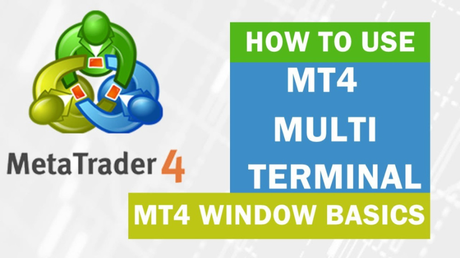 MetaTrader 4 How to Use MT4 MultiTerminal Window XM Tutorial