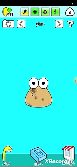 ساخت در ندرایتی