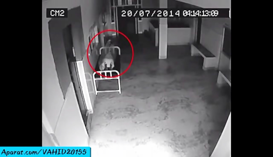 لحظه وحشتناک و عجیب و واقعی جدا شدن روح از بدن انسان