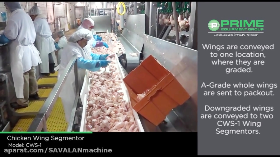 CWS 1 Chicken Wing Segmentor Offline Operation