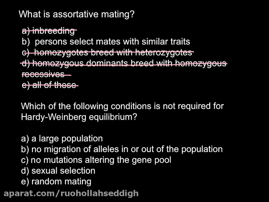 What is assortative mating?
