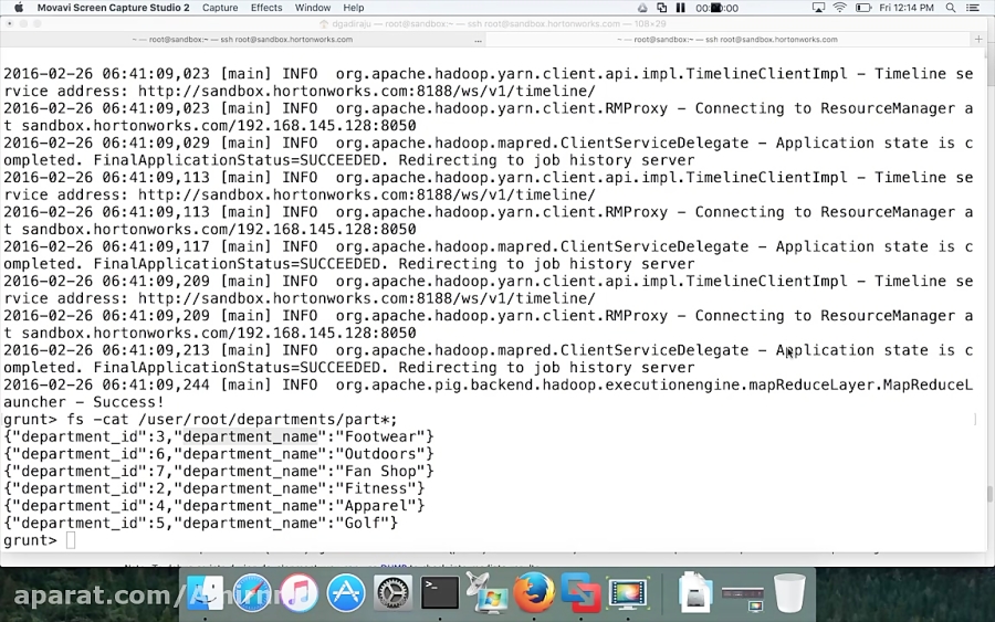 Apache Pig - Store the data from a Pig relation into a Hive table