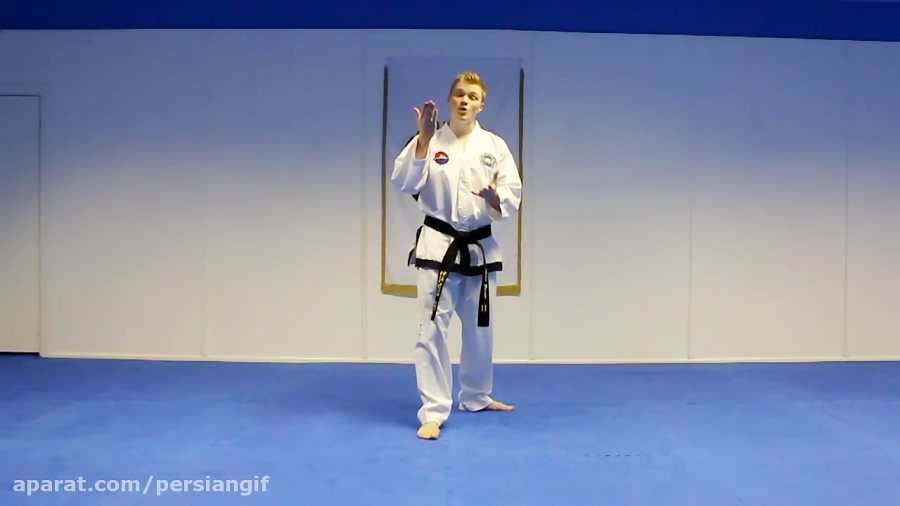 Taekwondo Twist Kick Tutorial | GNT