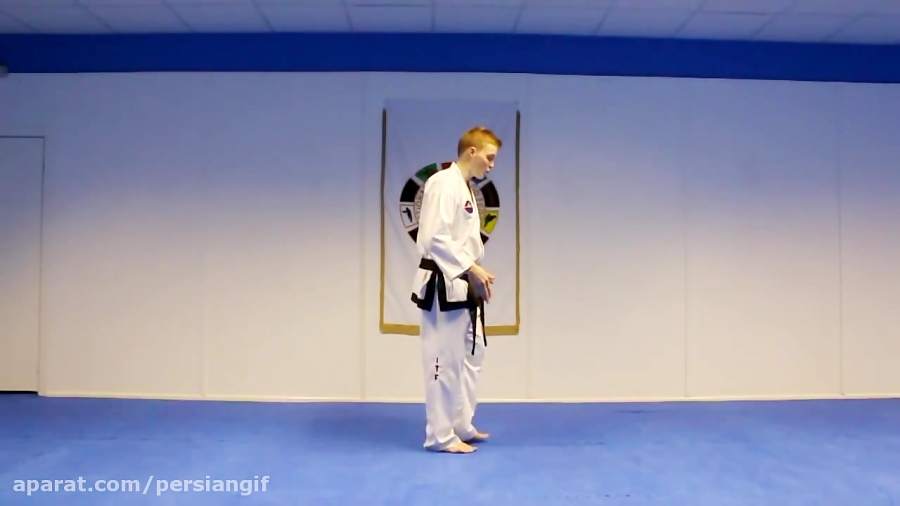 Taekwondo Split Kick Tutorial (Front Kicks Version) | GNT