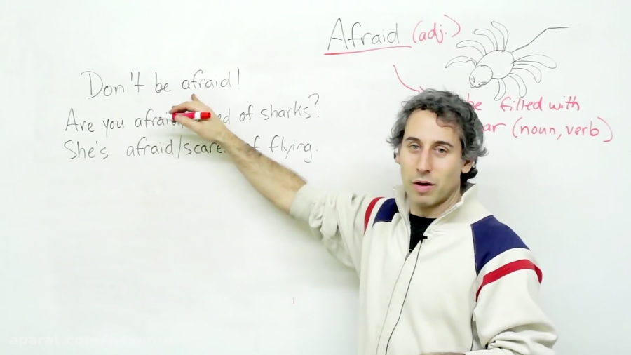 English Vocabulary - afraid, afraid of, scared of, fear