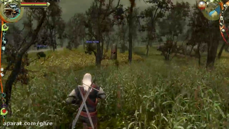 The Witcher - Walkthrough - Part 61: Camp in the Swamp [Hard]