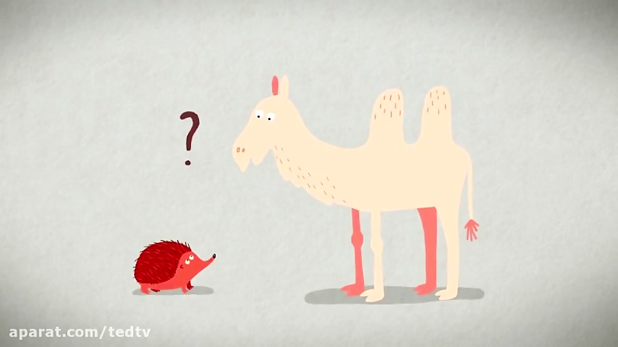 The three different ways mammals give birth - Kate Slabosky