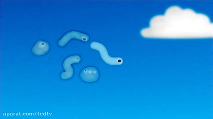 What are those floaty things in your eye? - Michael Mauser