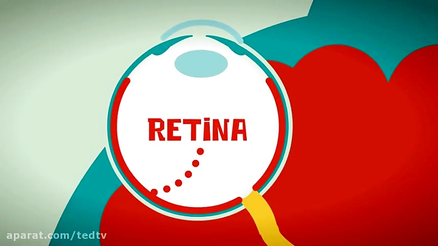 Eye vs. camera - Michael Mauser