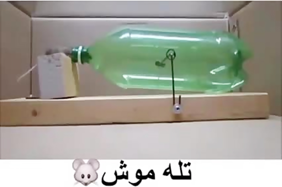 تله موش