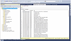 Webmapping with postgis/ mapserver / openlayers
