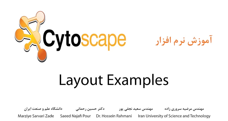 Cytoscape - Layout Examples