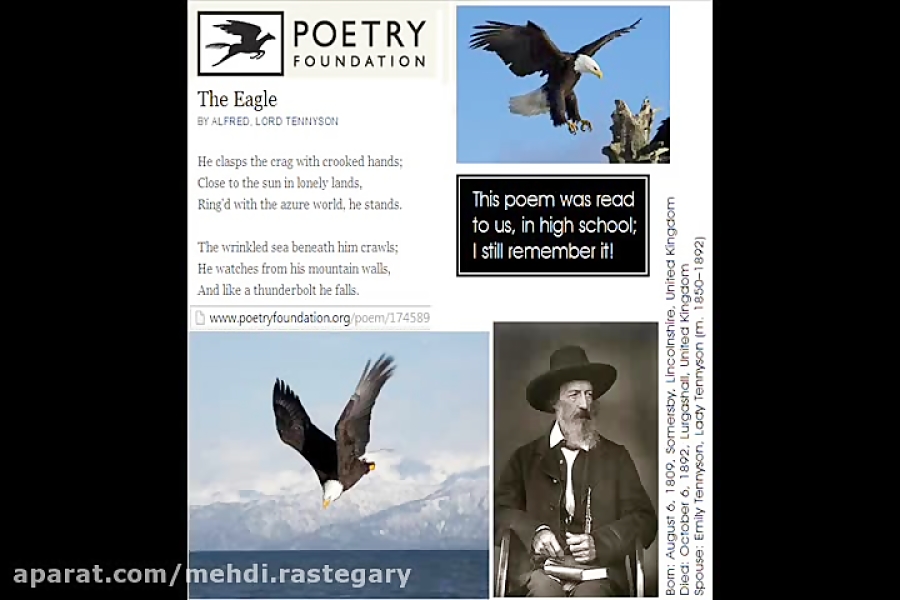 The Eagle Tennyson Worksheet at Tracy Mcfall blog
