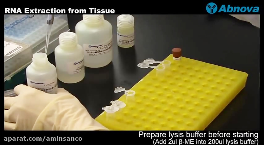RNA Extraction from Tissue