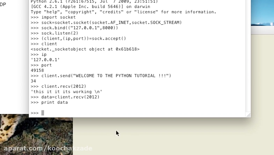 Socket Programming In Python Client And Server