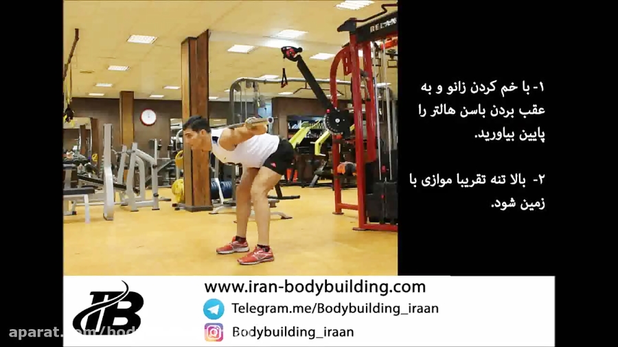 سلام ژاپنی هالتر