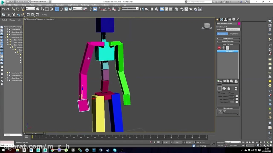 3D Studio Max - Animation CAT