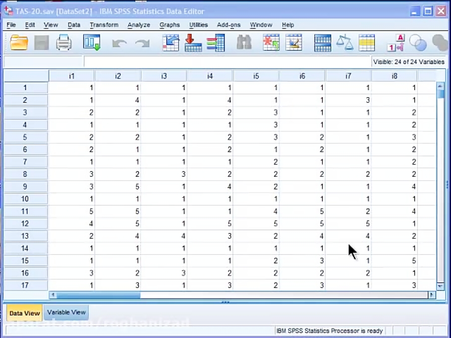 Factor Analysis - SPSS (part 1)