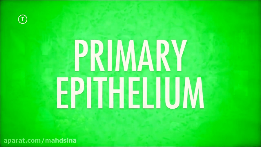 Tissues, Part 2 - Epithelial Tissue: Crash Course AP #3